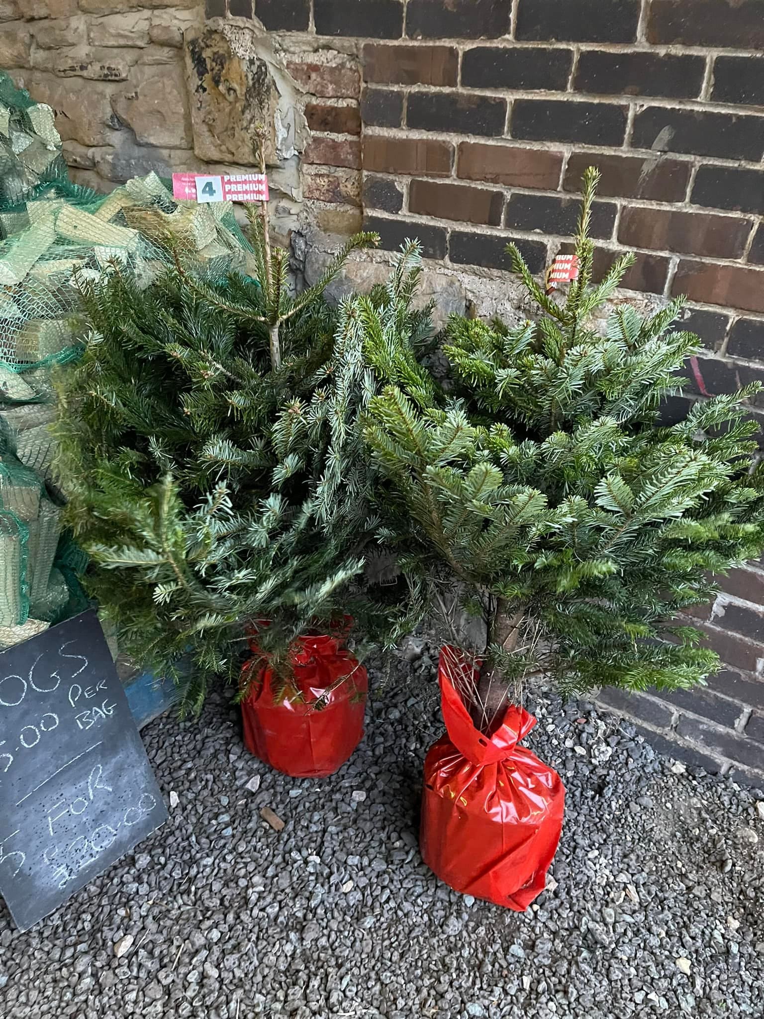 Scott's House Farm Christmas Trees – Range of Christmas Trees available ...